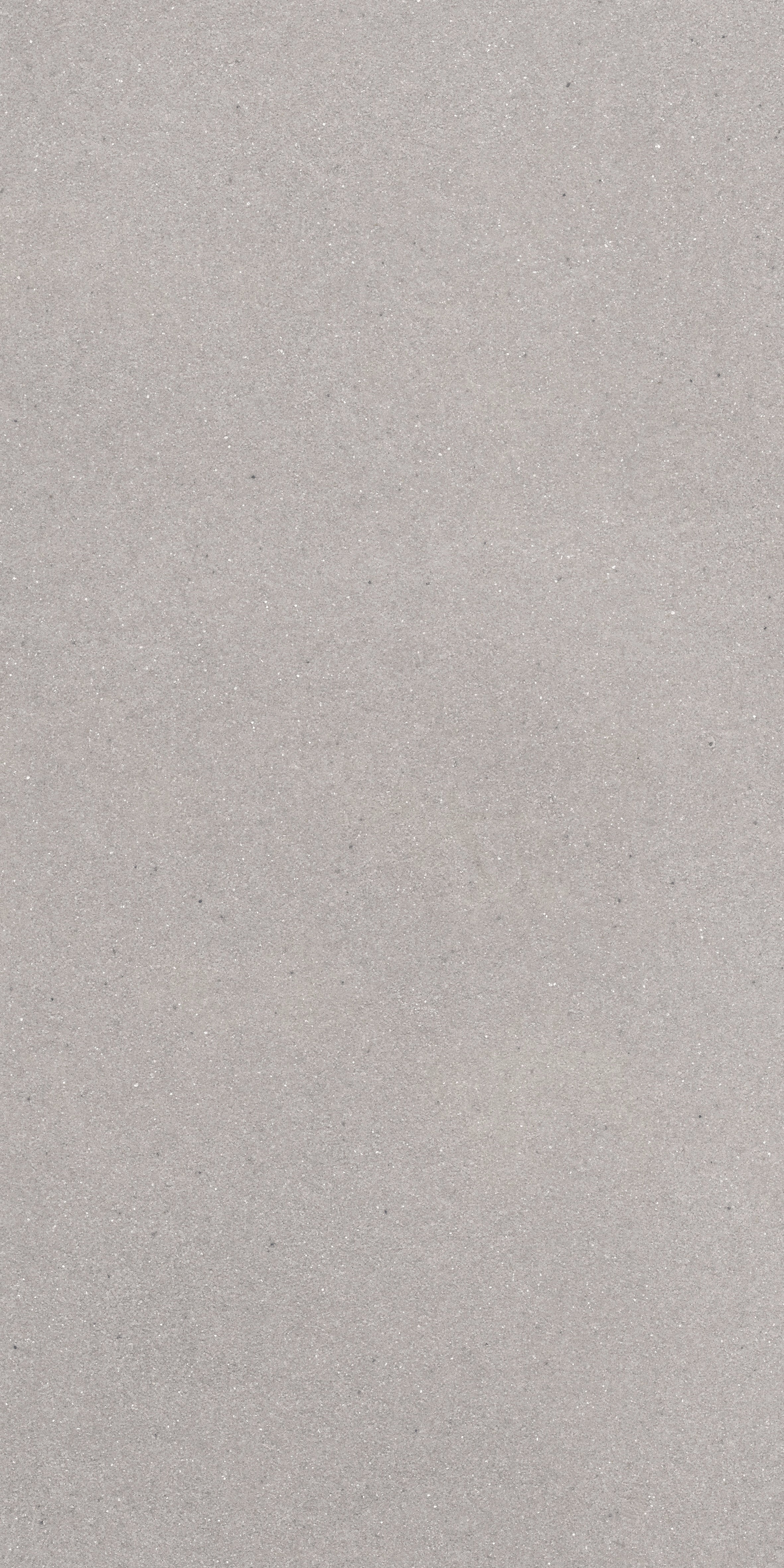PRESTON CREMA MATT | 24x48 | Wall Panel Canada